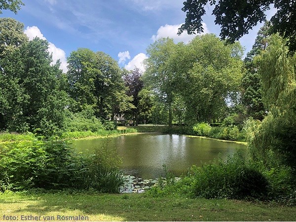 Oproepen voor kunstenaars - Open call voor kunst in het Wilhelminapark ...